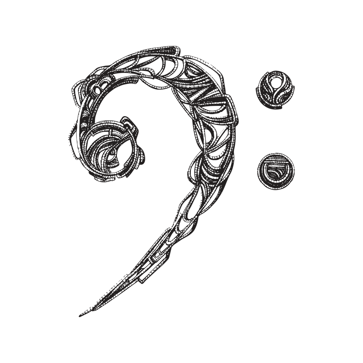 MISSION BASS LIVE – Mission Bass